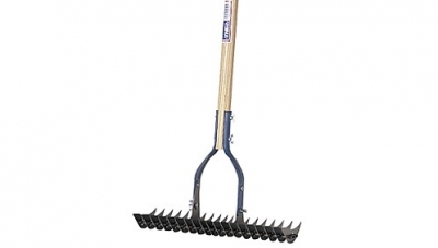 The Proper Ways to Rake Your Lawn